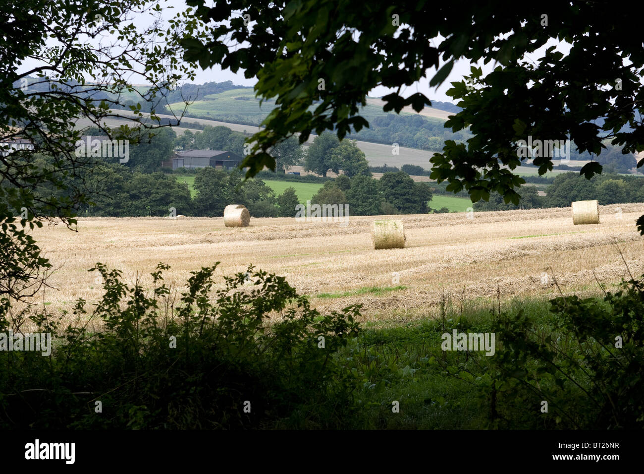Outdoor farming scene hi-res stock photography and images - Alamy