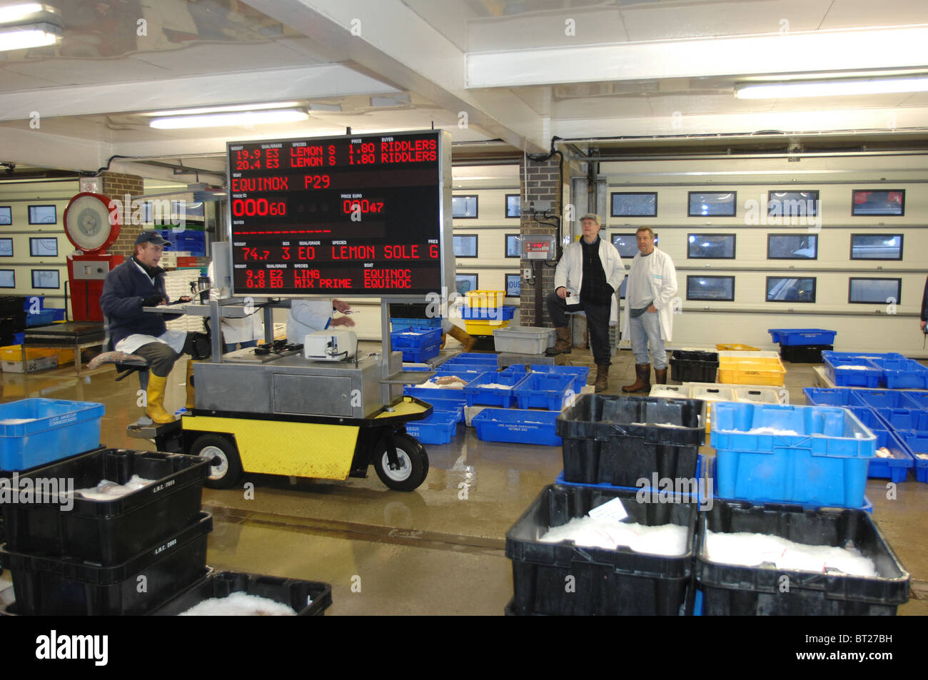 Looe Fish Market High Resolution Stock Photography and Images - Alamy