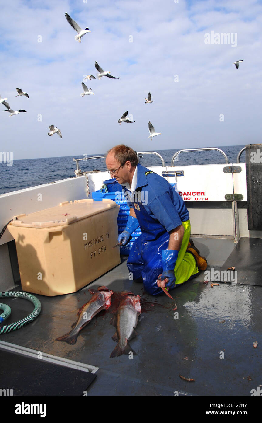 Fishing for Pollock out of Looe in Cornwall - This fisherman meets the ...