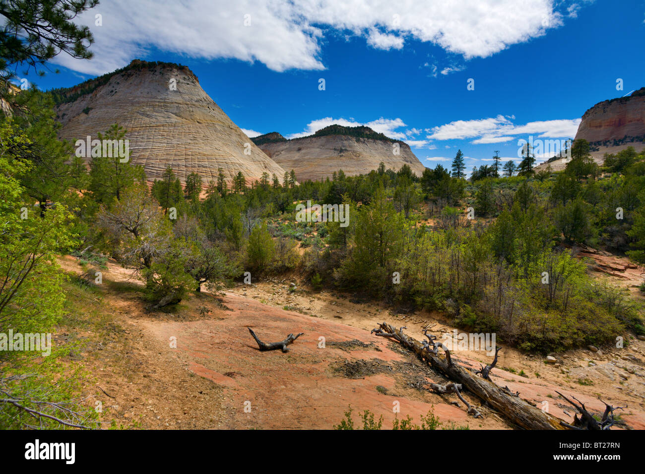 Checkerboard Mesa in Zion National Park Stock Photo - Alamy