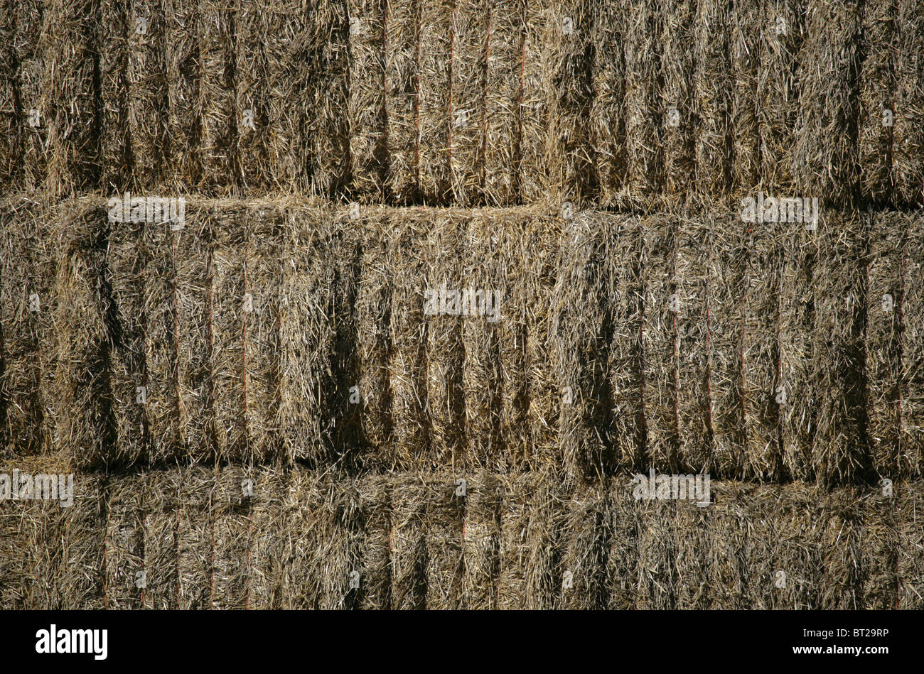 Hay bale background hi-res stock photography and images - Alamy