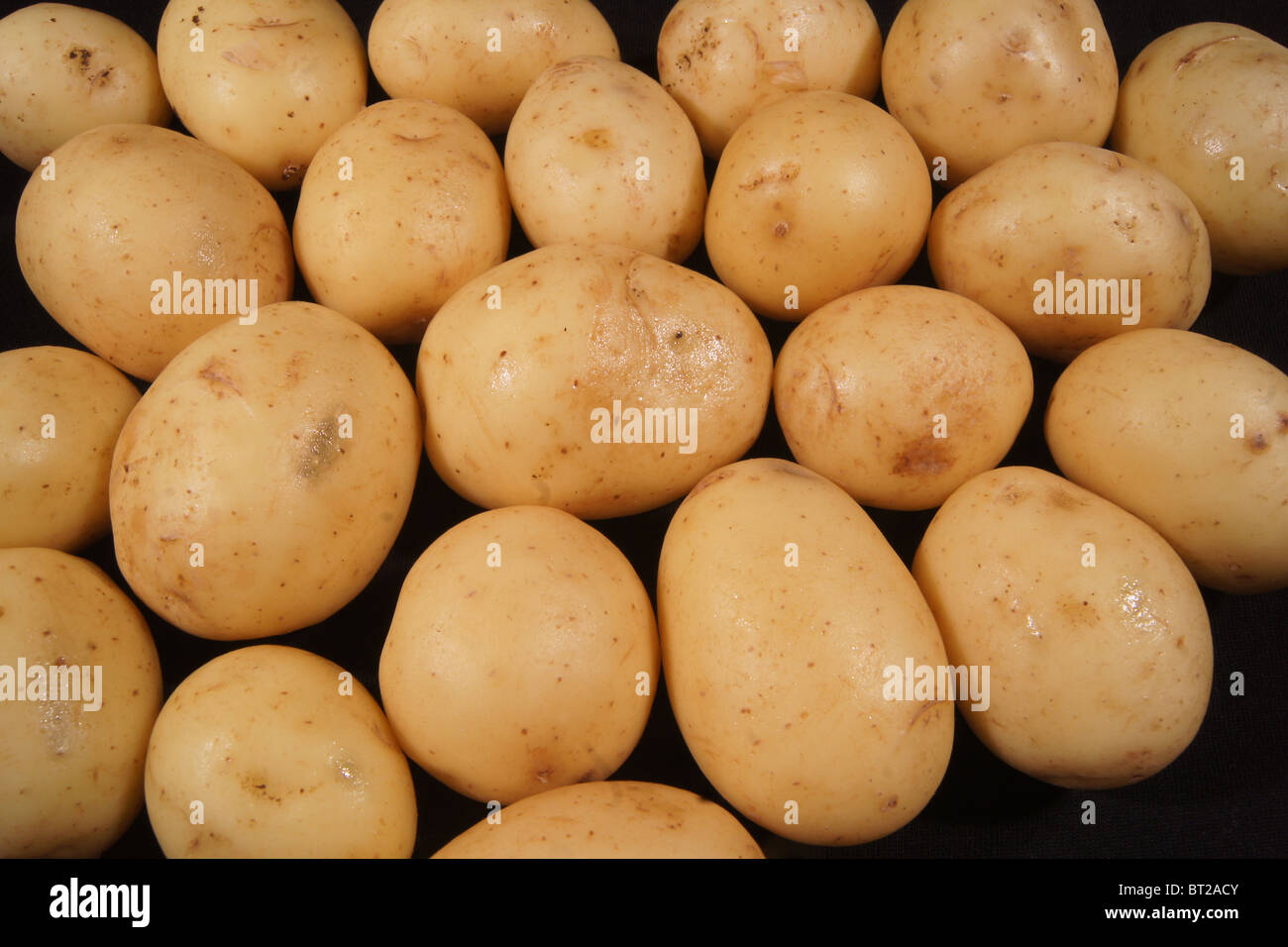 A bunch of potatoes Stock Photo - Alamy
