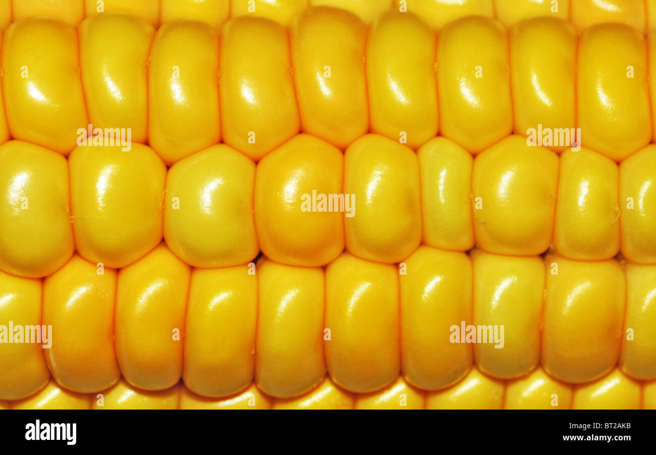 Ear of corn macro hi-res stock photography and images - Alamy