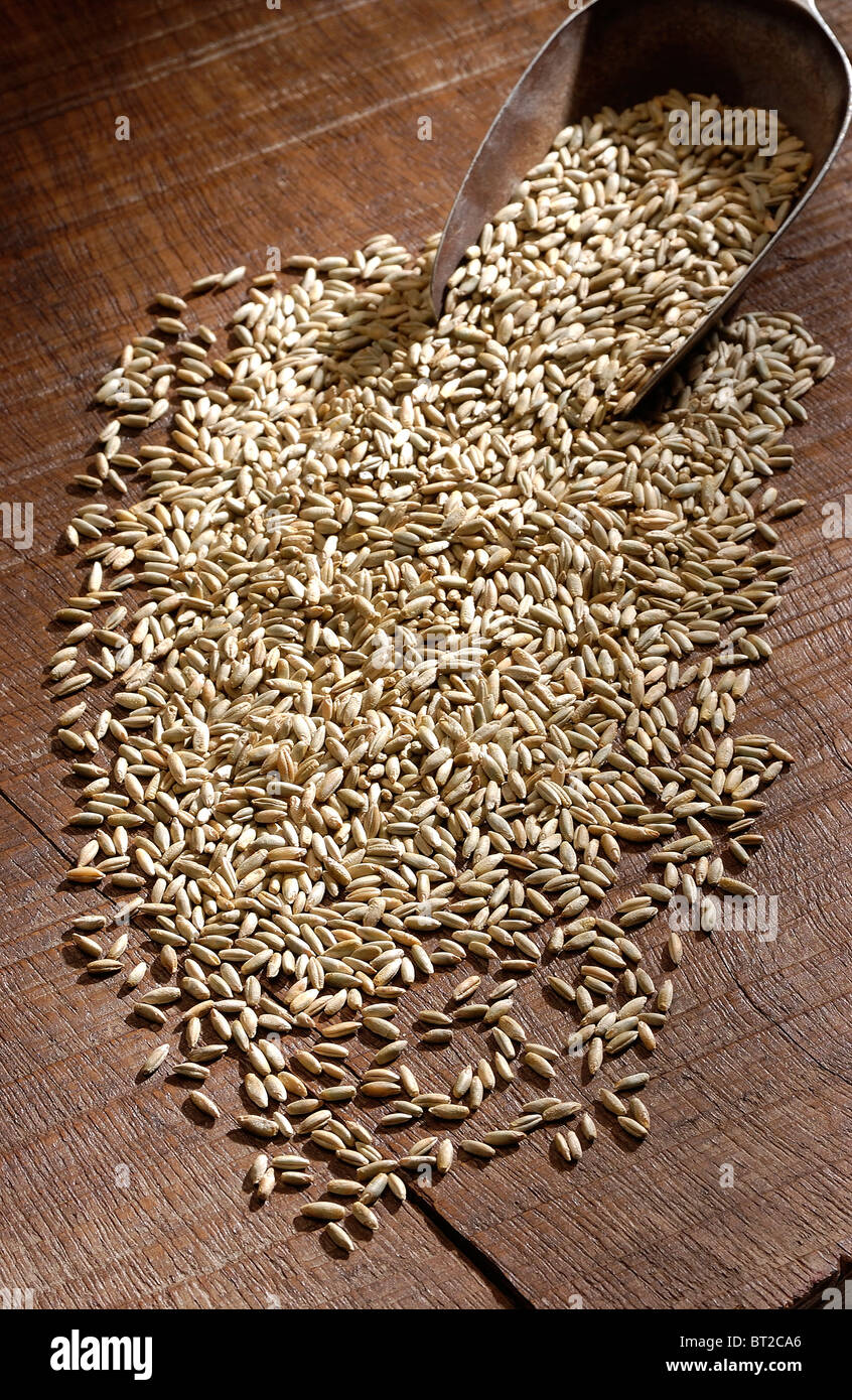 rye with a scoop Stock Photo - Alamy