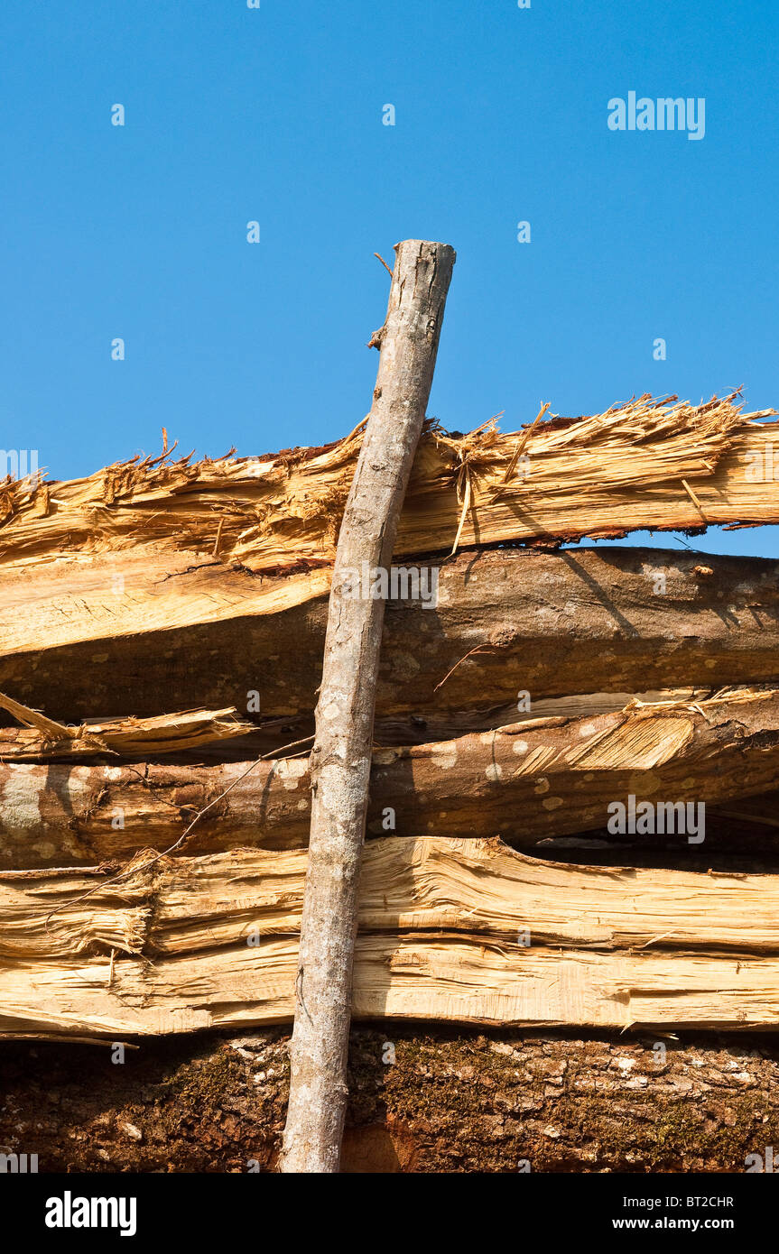 Stack chopped oak wood domestic hi-res stock photography and images - Alamy