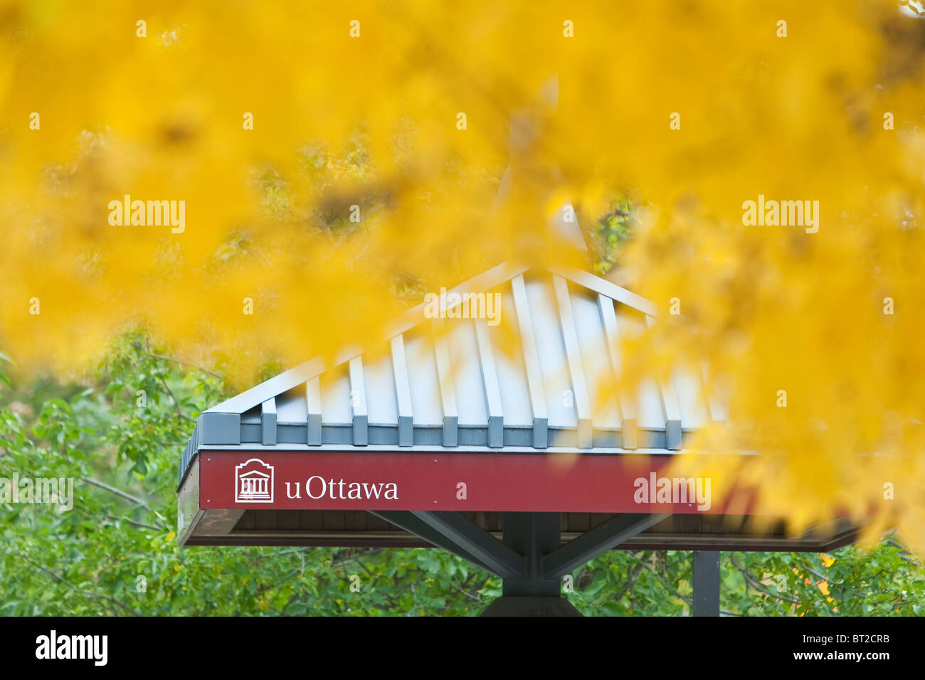 Uottawa logo hi-res stock photography and images - Alamy