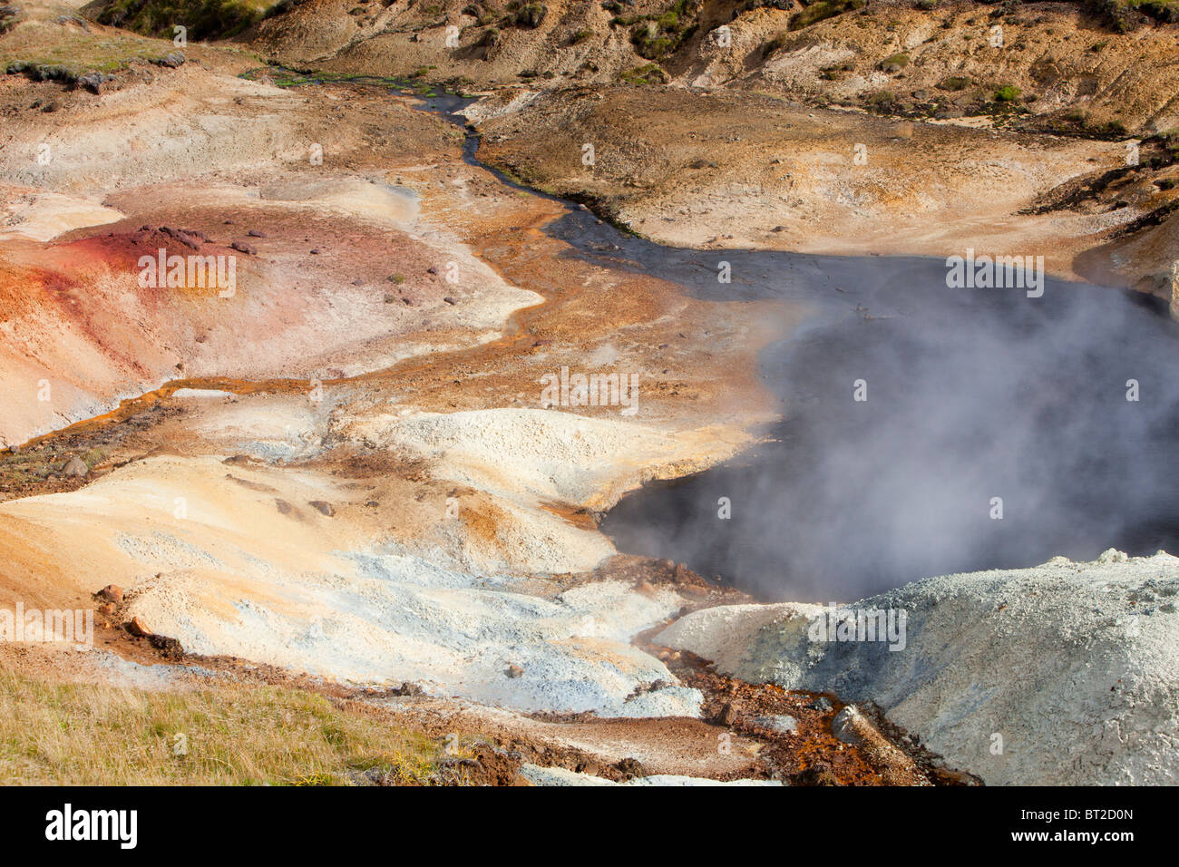 Geothermal ground venting steam in Hengill, Iceland Stock Photo - Alamy