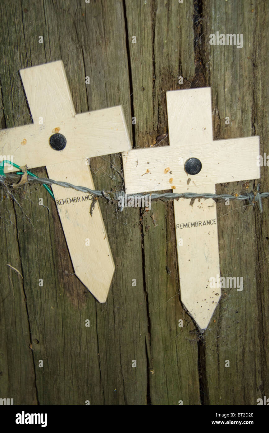 Remembrance crosses nailed to a tree in Ypres Belgium Stock Photo - Alamy