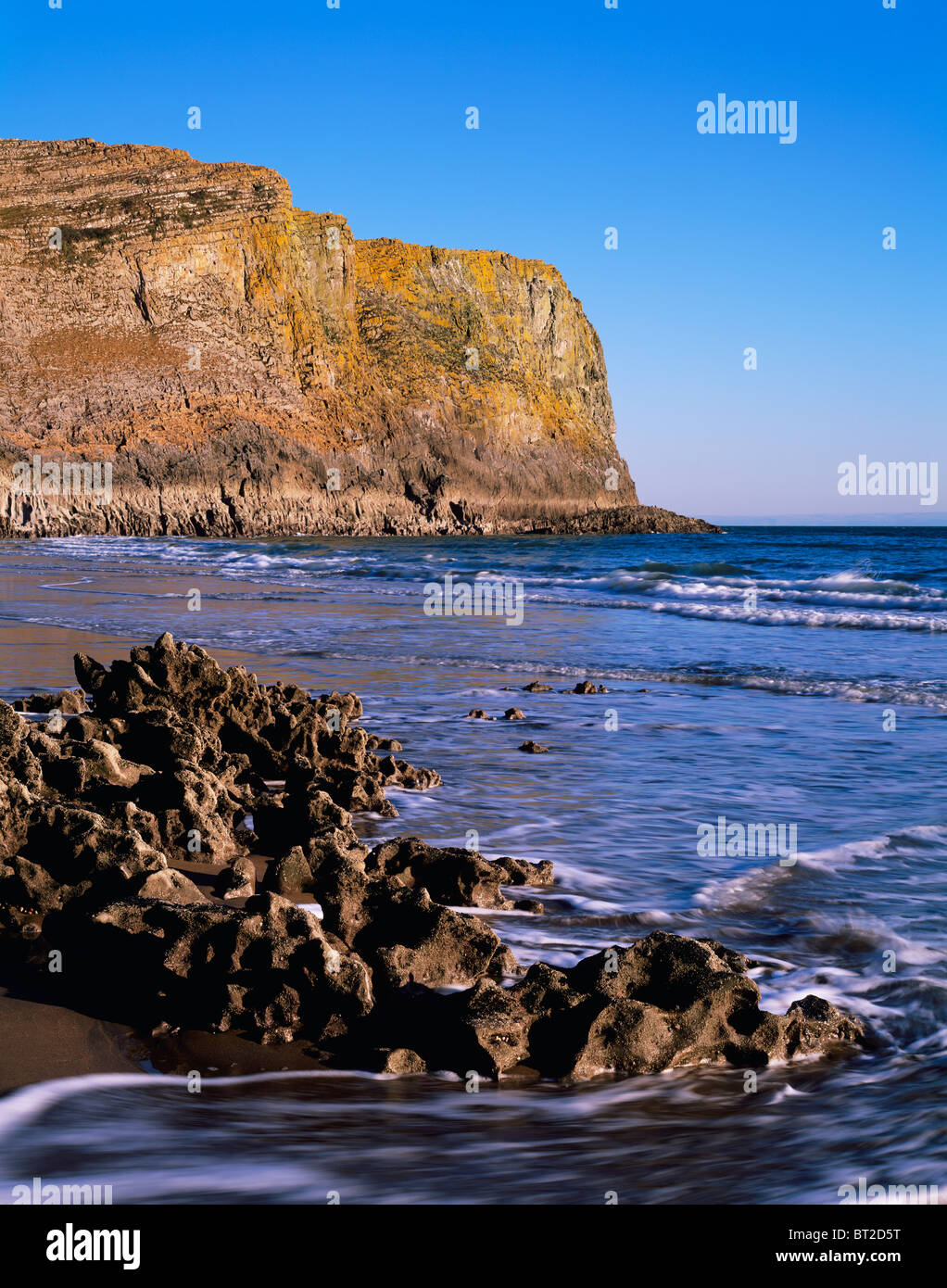 South coast limestone cliffs hi-res stock photography and images - Alamy