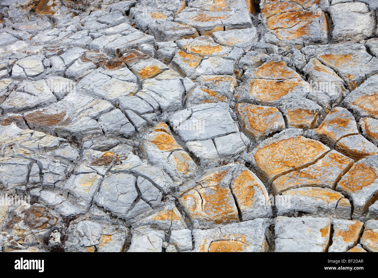 Mud cracks on the side of a geothermal hot spring in Hengill, Iceland ...