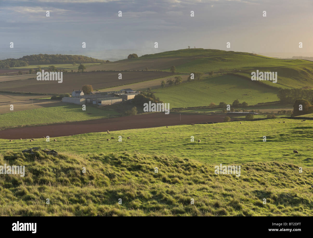 Landscape of the Scottish Border countryside seen from Hume Castle in ...