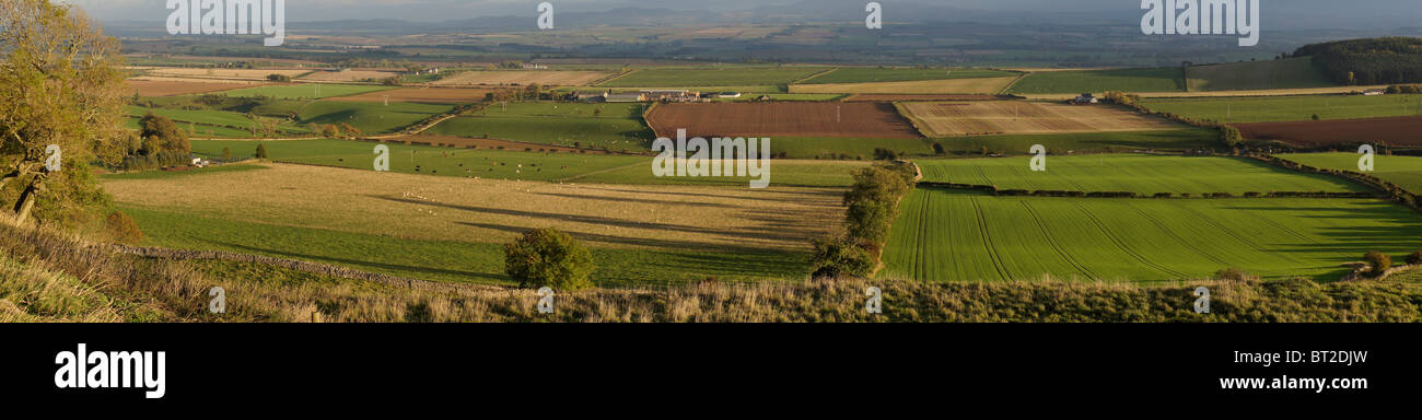 Landscape of the Scottish Border countryside seen from Hume Castle in ...