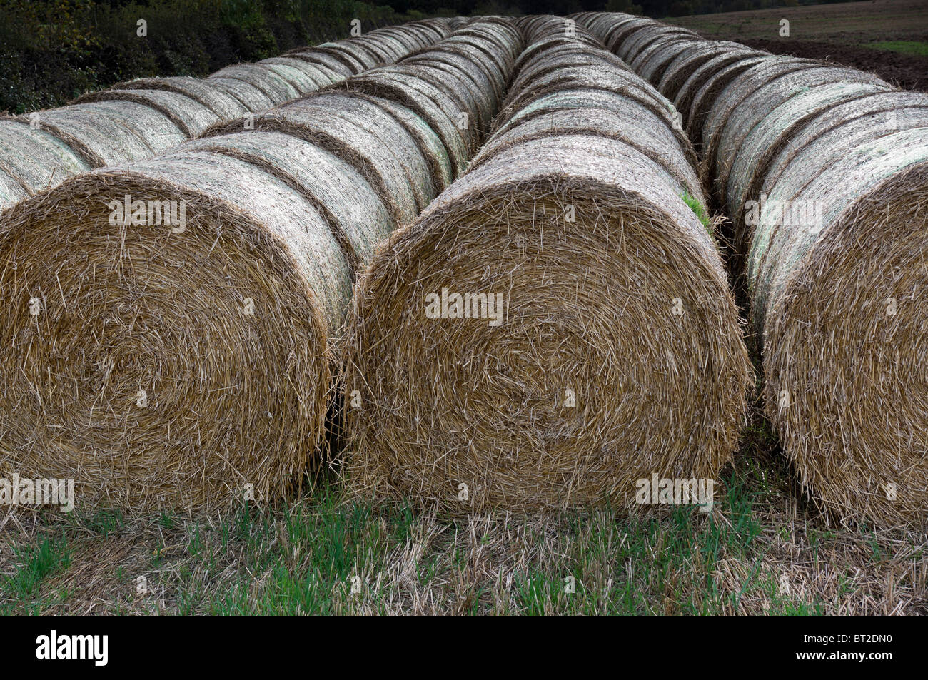 Roll bales hi-res stock photography and images - Alamy