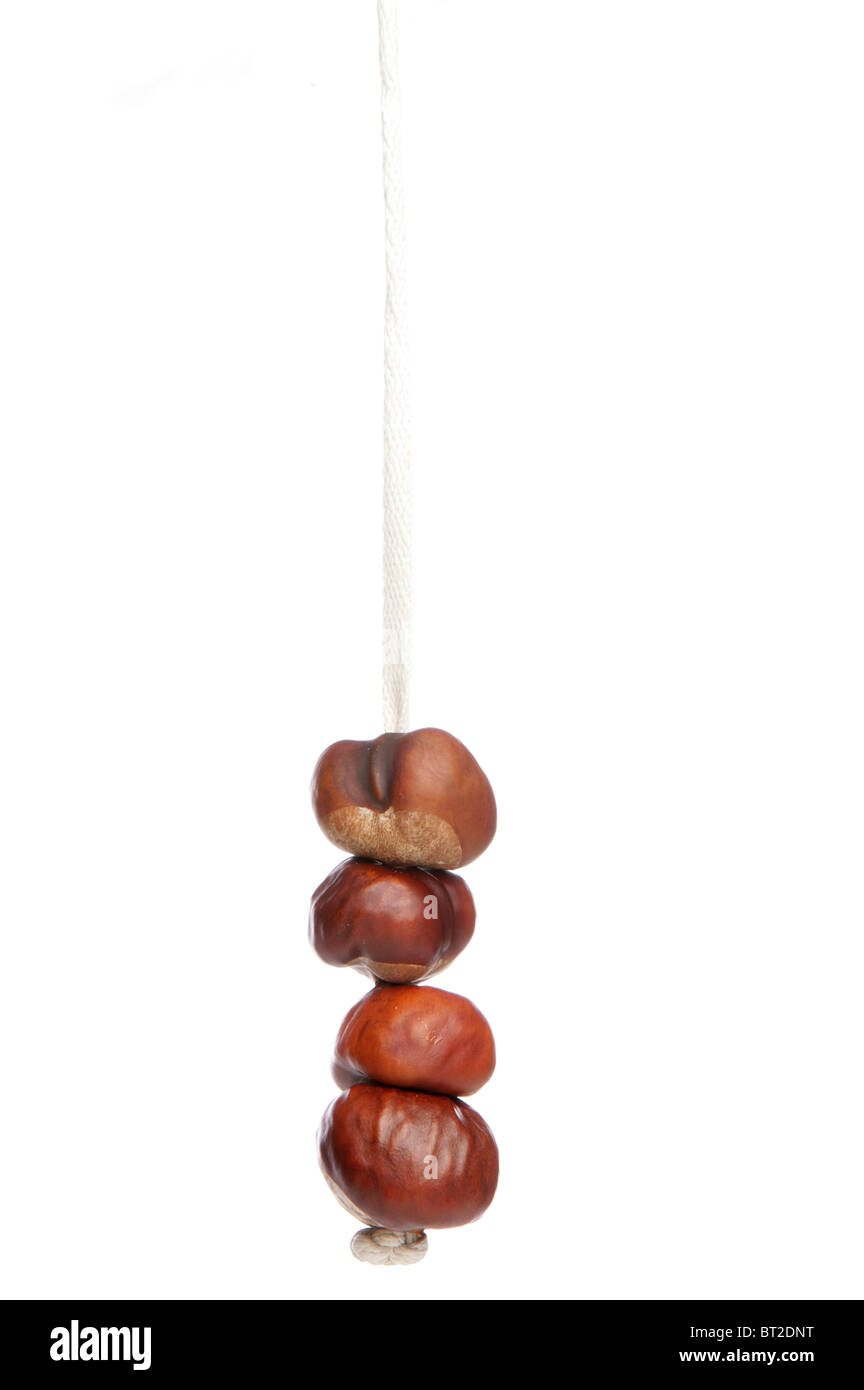 Conkers on string Cut Out Stock Images & Pictures - Alamy