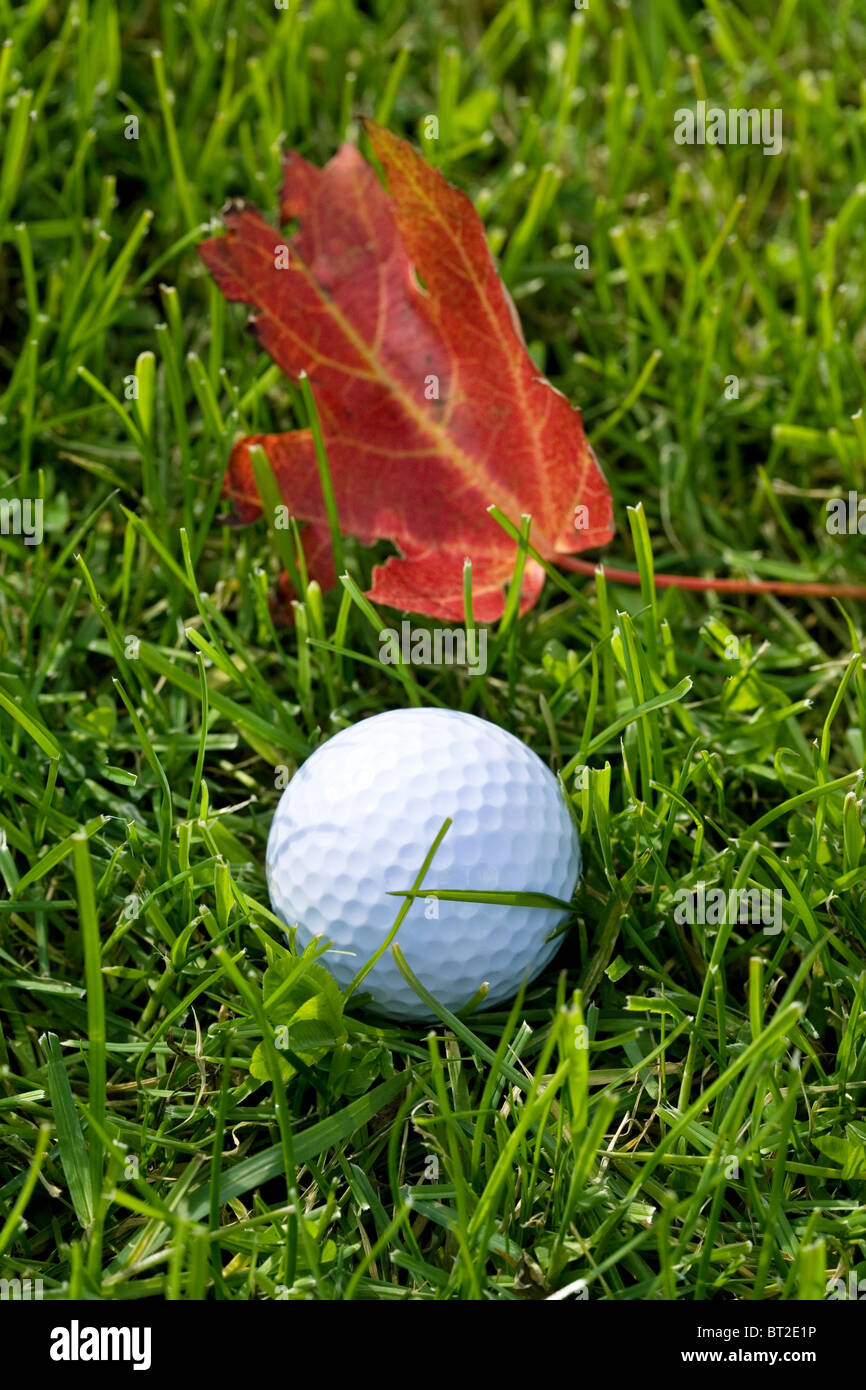 Ball of grass hi-res stock photography and images - Alamy