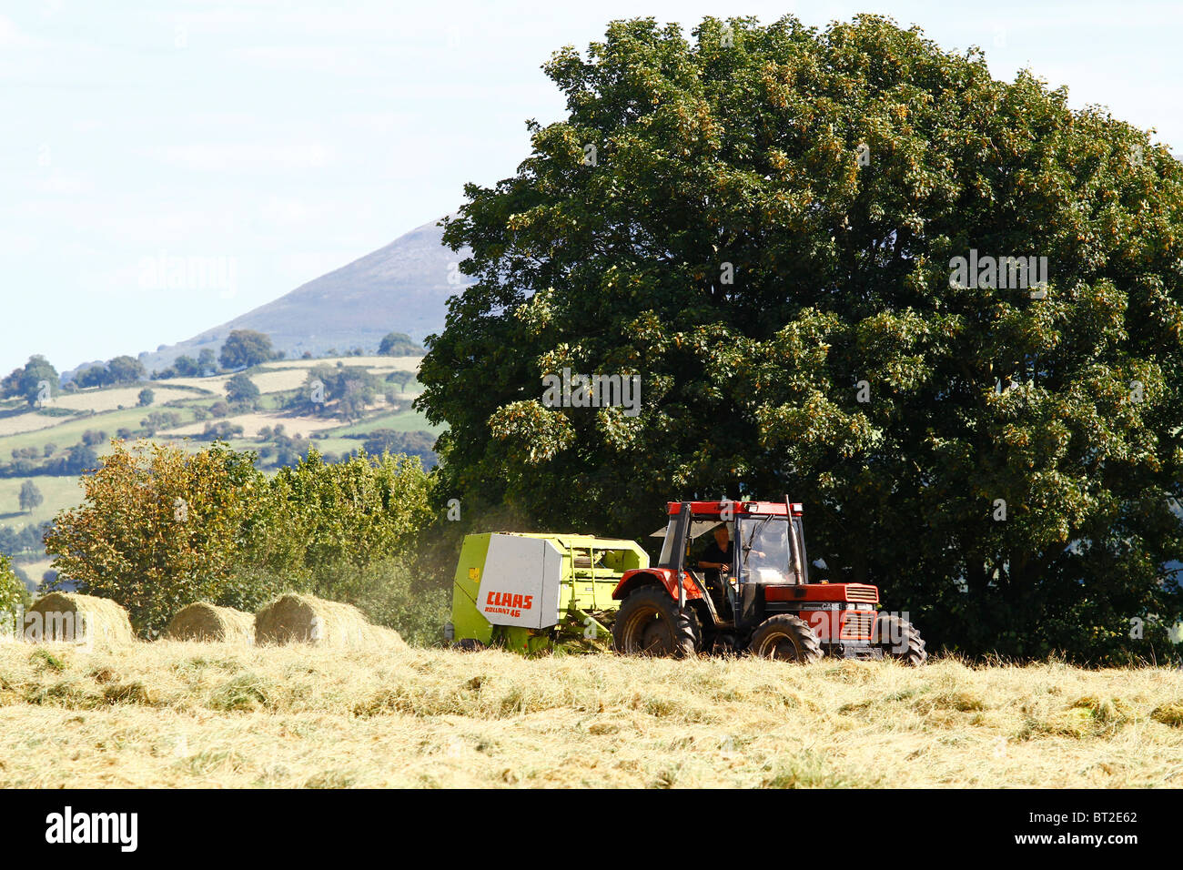 Bailing hay hi-res stock photography and images - Alamy