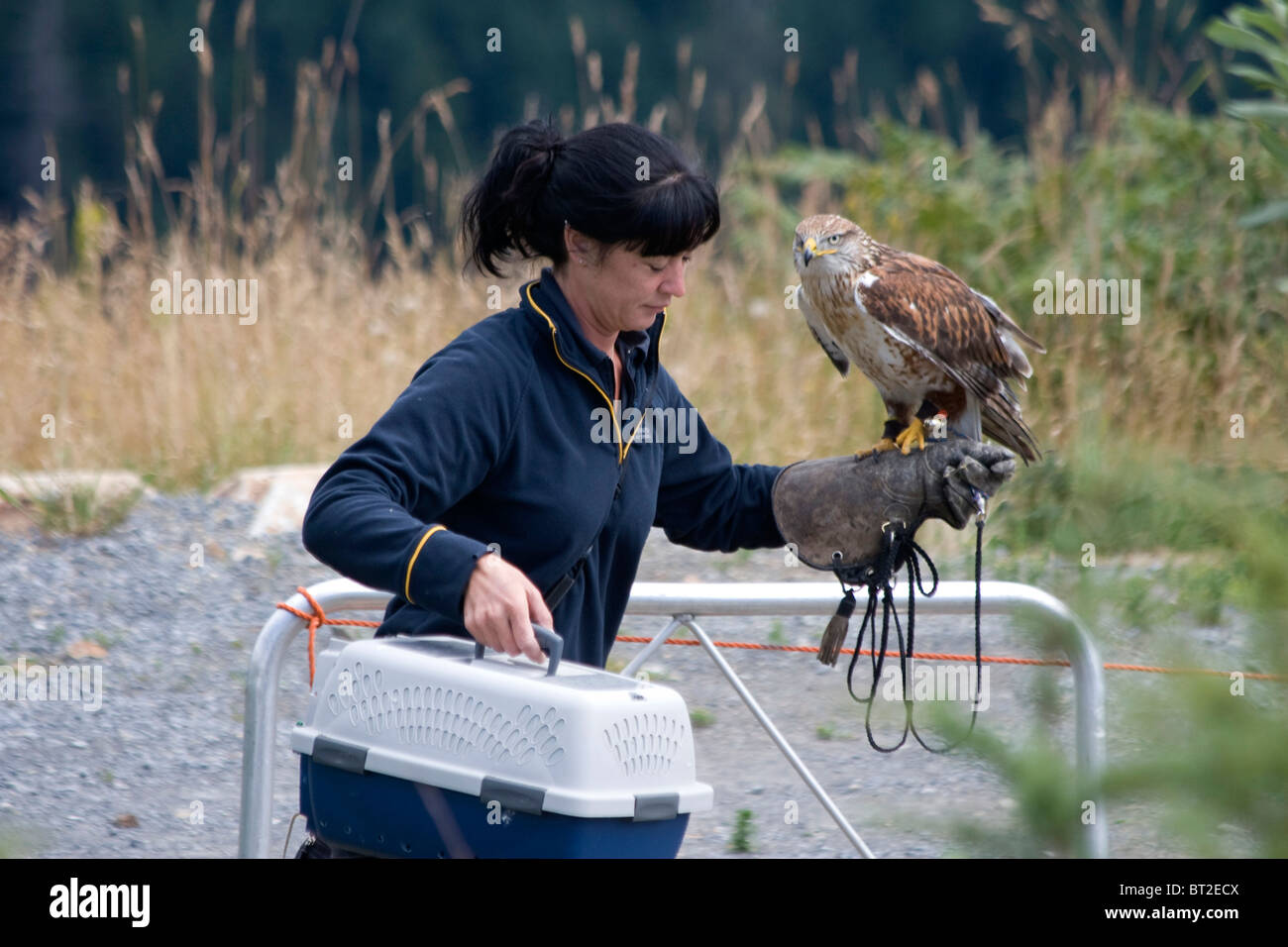 Woman with bird of prey hi-res stock photography and images - Alamy