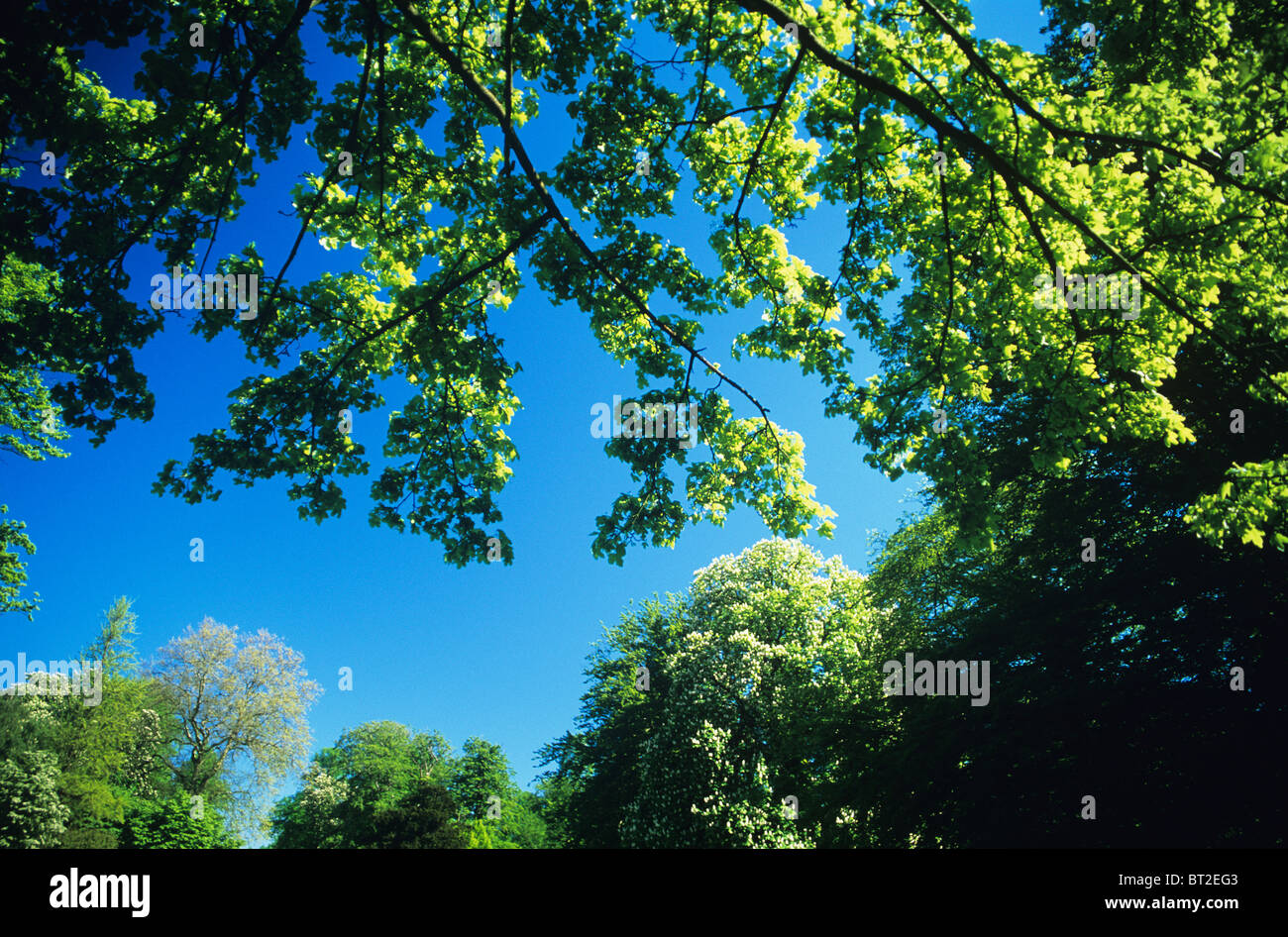Frederiksberg park spring hi-res stock photography and images - Alamy