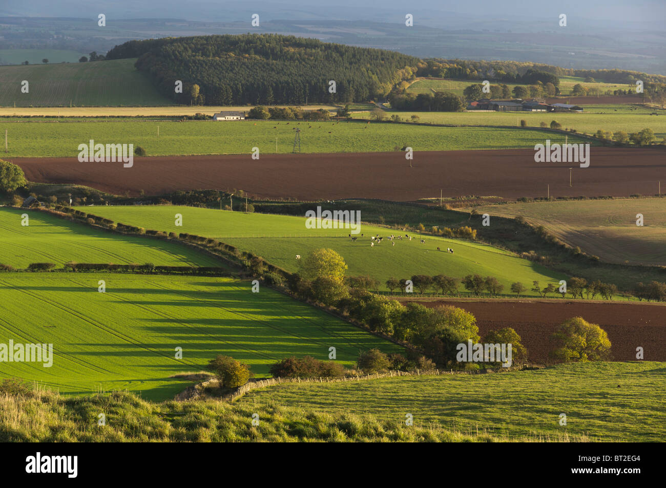 Landscape of the Scottish Border countryside seen from Hume Castle in ...
