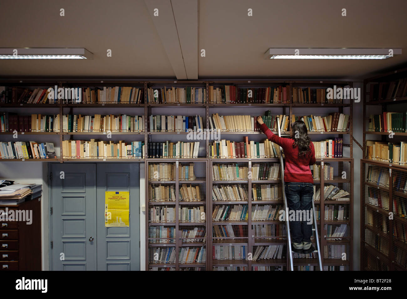 Wide angle view of young woman on metal ladder searching for books on a ...