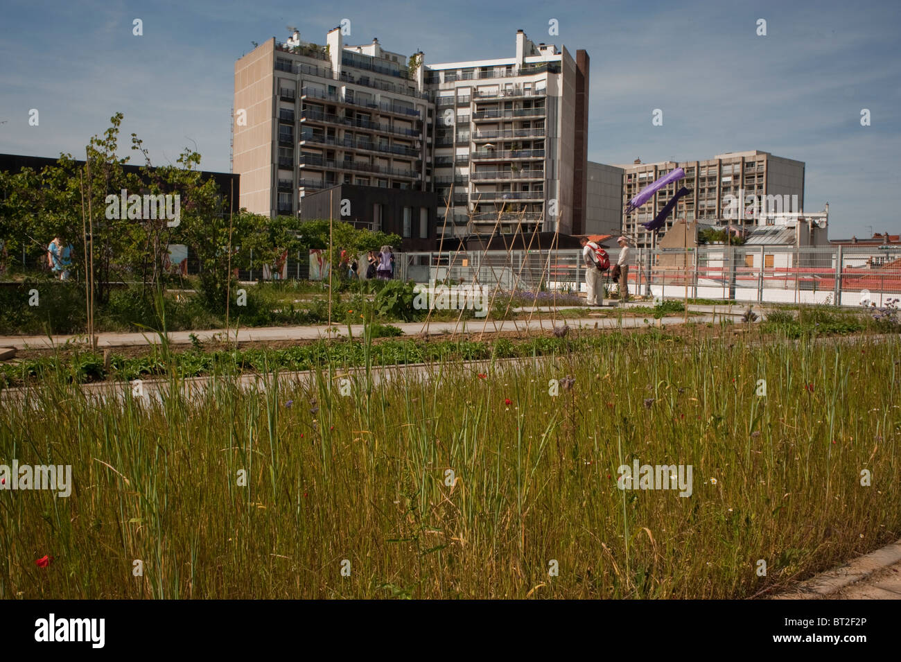 Low income public housing gardens hi-res stock photography and images ...