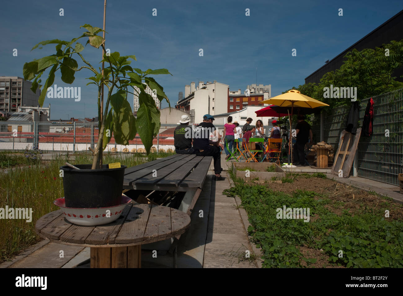 Paris, France, Group People Visiting Community Gardens on New Low ...
