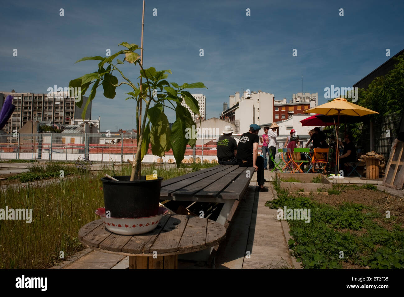 Low income public housing gardens hi-res stock photography and images ...