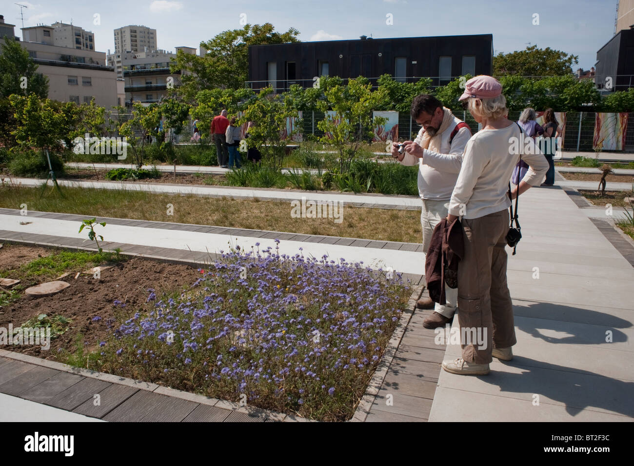 Low income public housing gardens hi-res stock photography and images ...