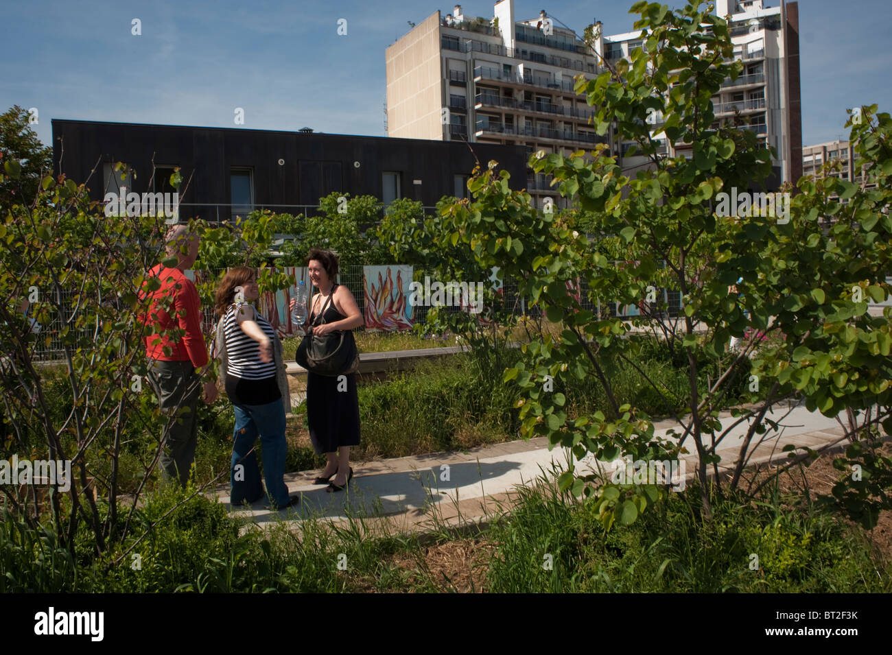 Low income public housing gardens hi-res stock photography and images ...