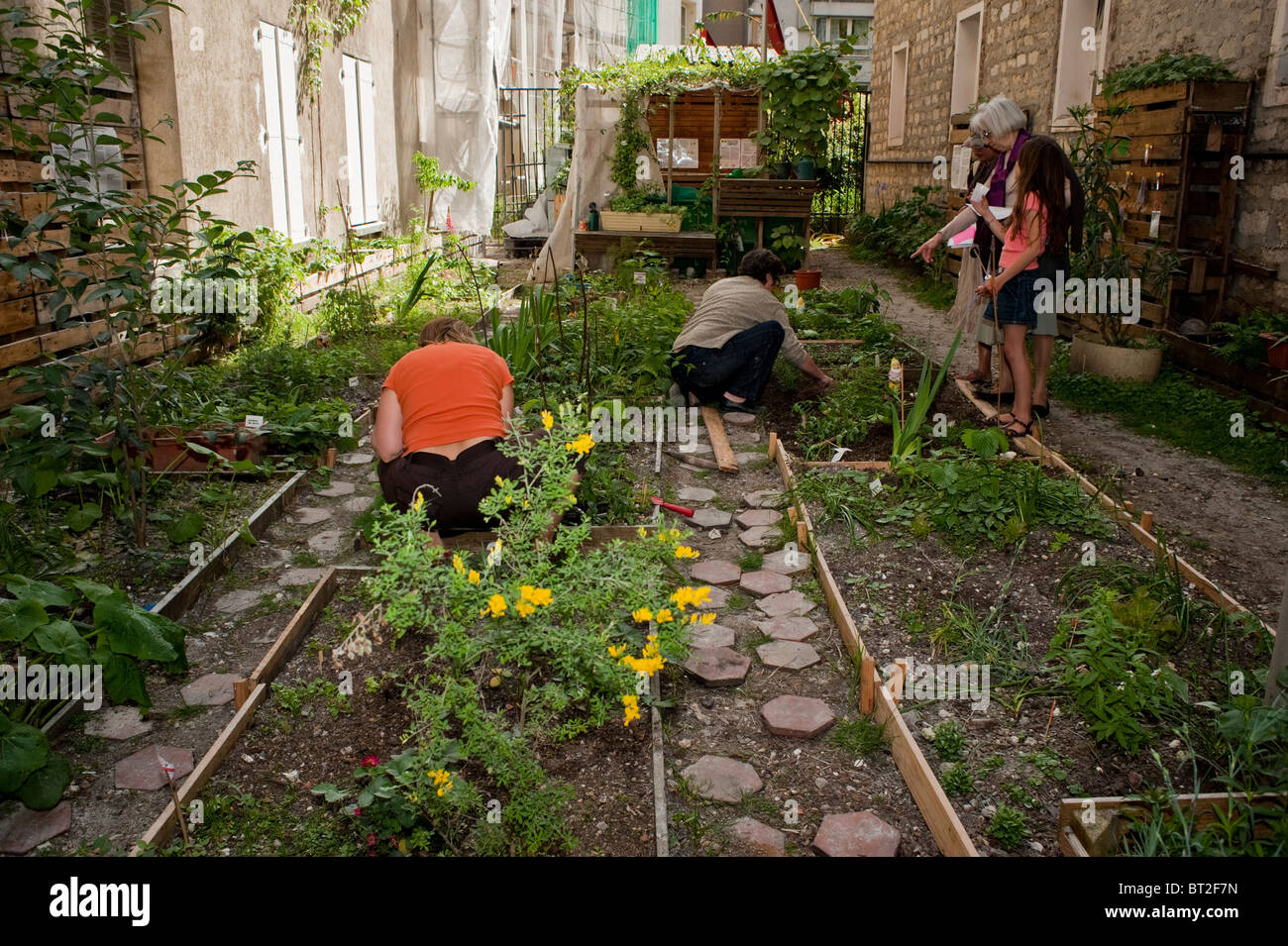 Low income public housing gardens hi-res stock photography and images ...