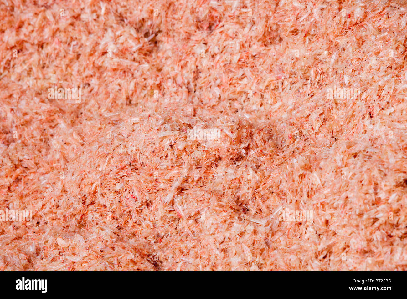 Prawn waste from a fish processing factory in Siglufjordur in northern ...