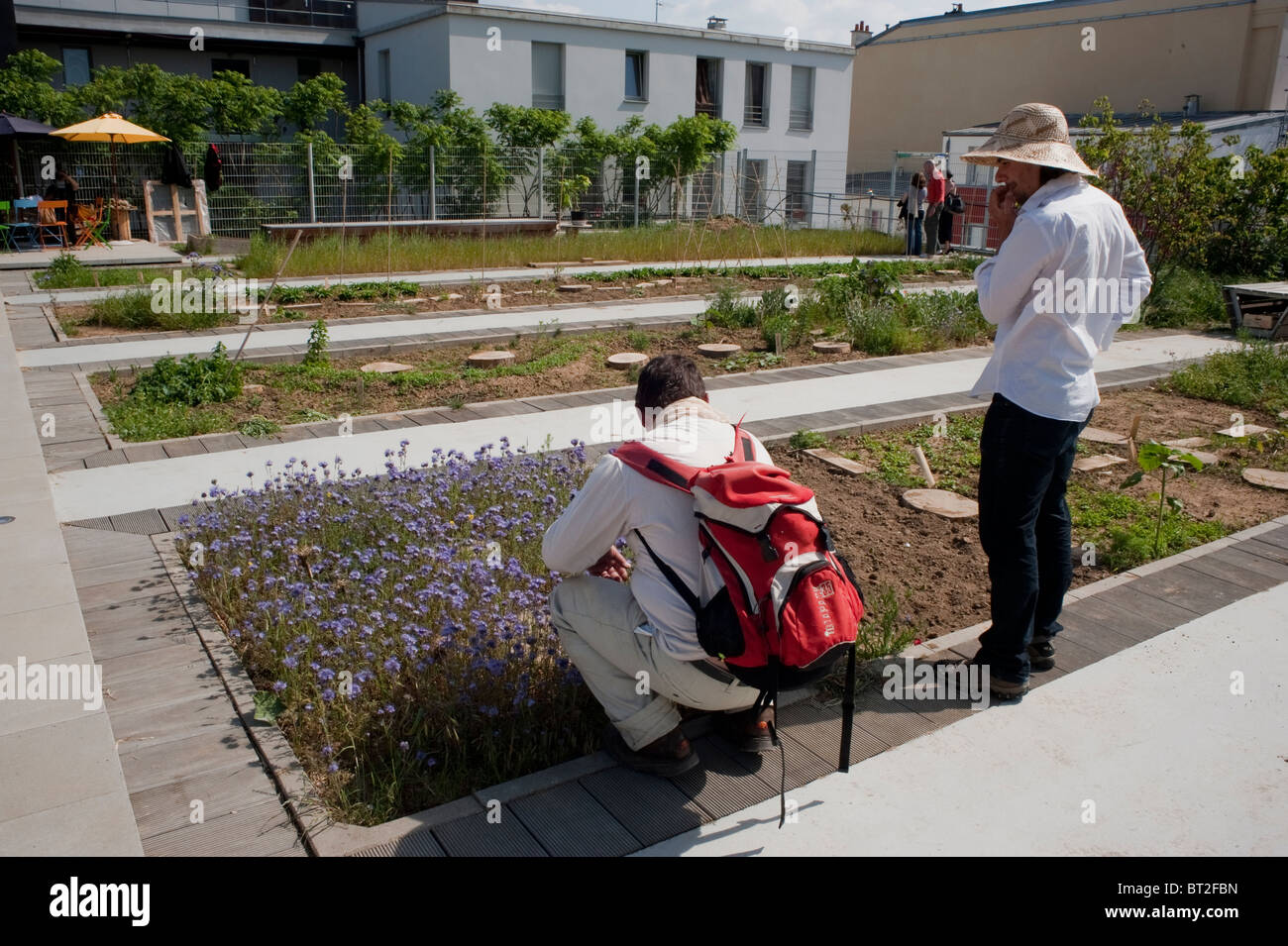 Low income public housing gardens hi-res stock photography and images ...