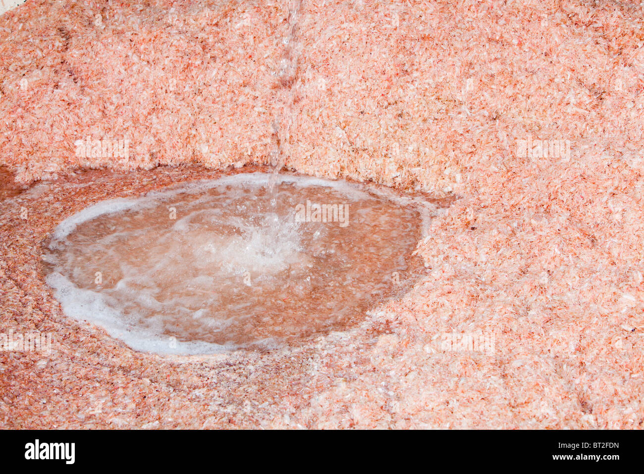 Prawn waste from a fish processing factory in Siglufjordur in northern ...
