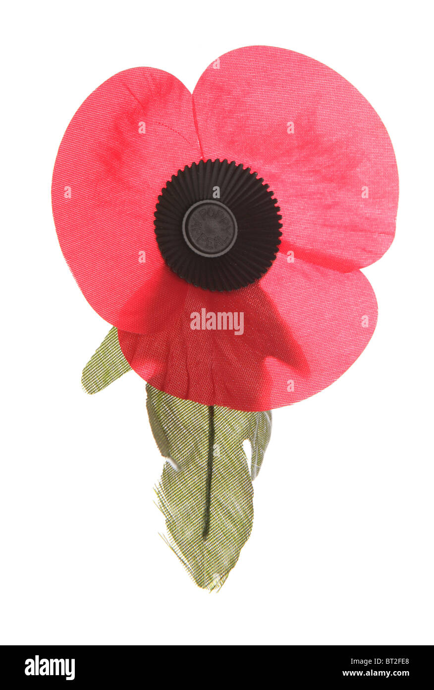 remembrance poppy isolated studio cutout Stock Photo - Alamy