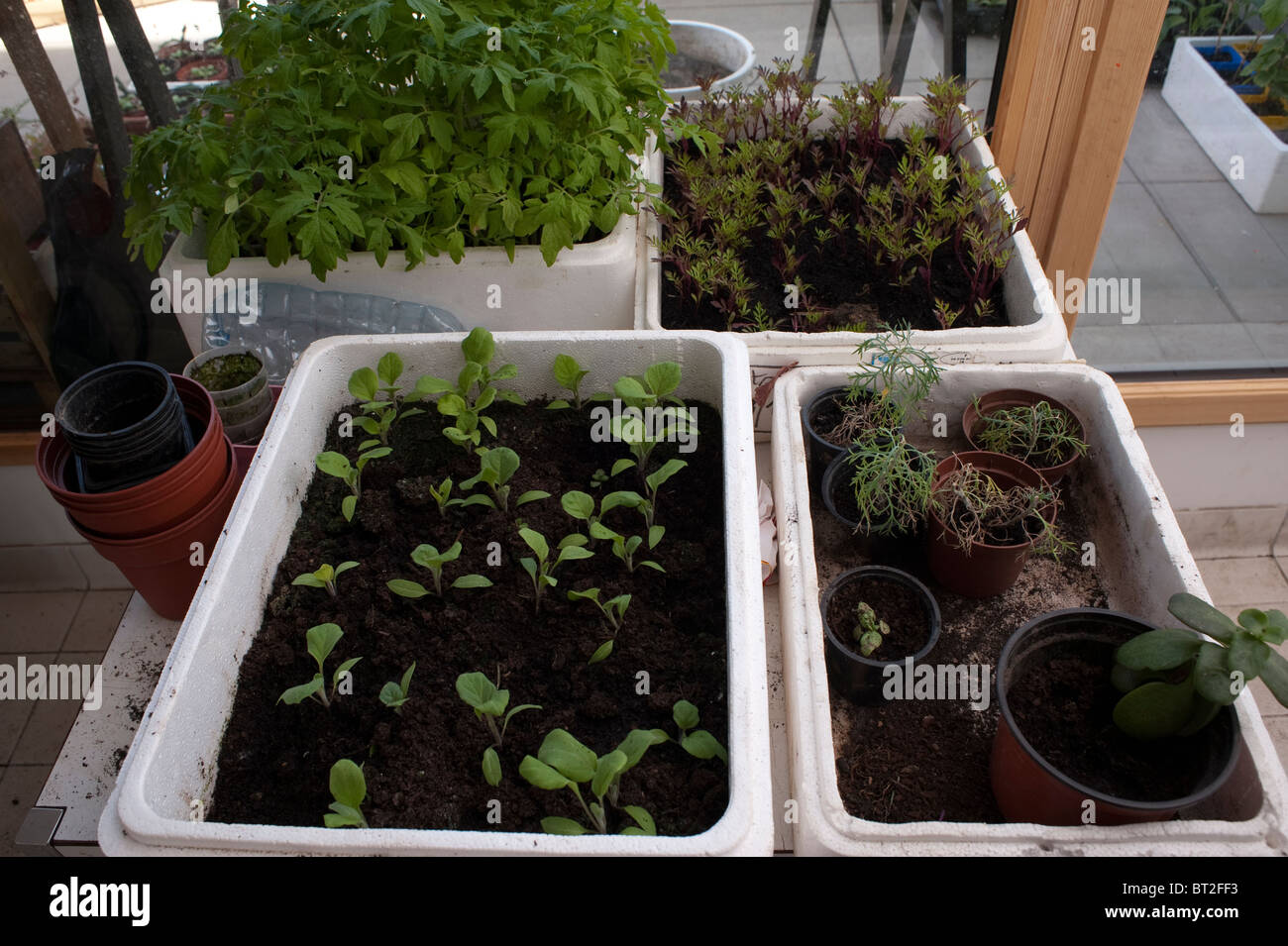 Paris, France, Community Garden on New Low-income Public Housing ...