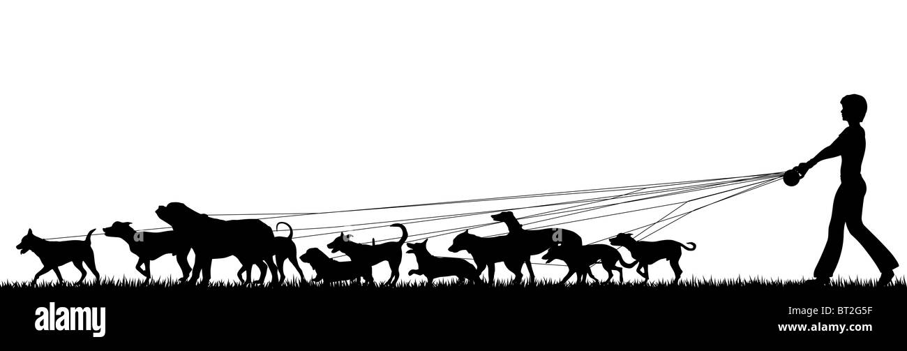 Woman with many dogs Black and White Stock Photos & Images - Alamy