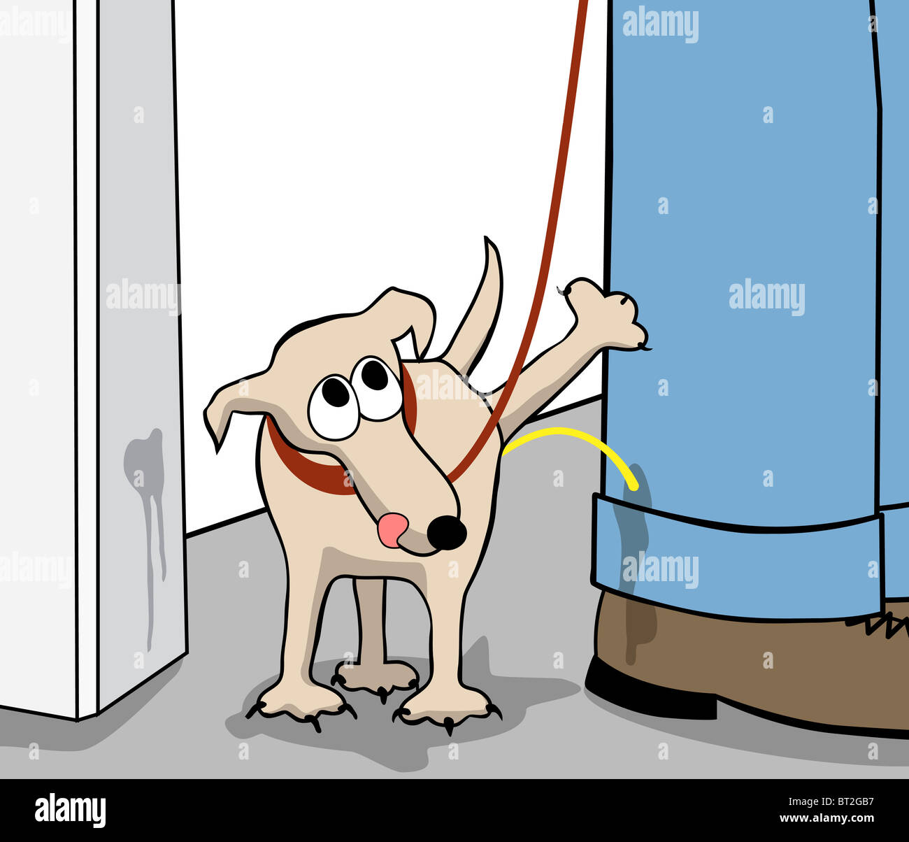 Illustrated cartoon of a small dog urinating on its owner's leg Stock ...