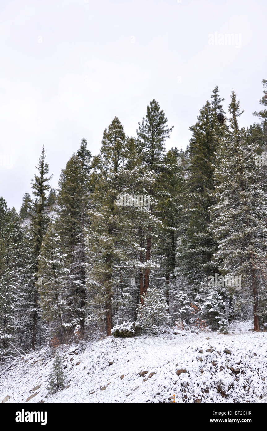 New Mexico in winter, USA Stock Photo - Alamy