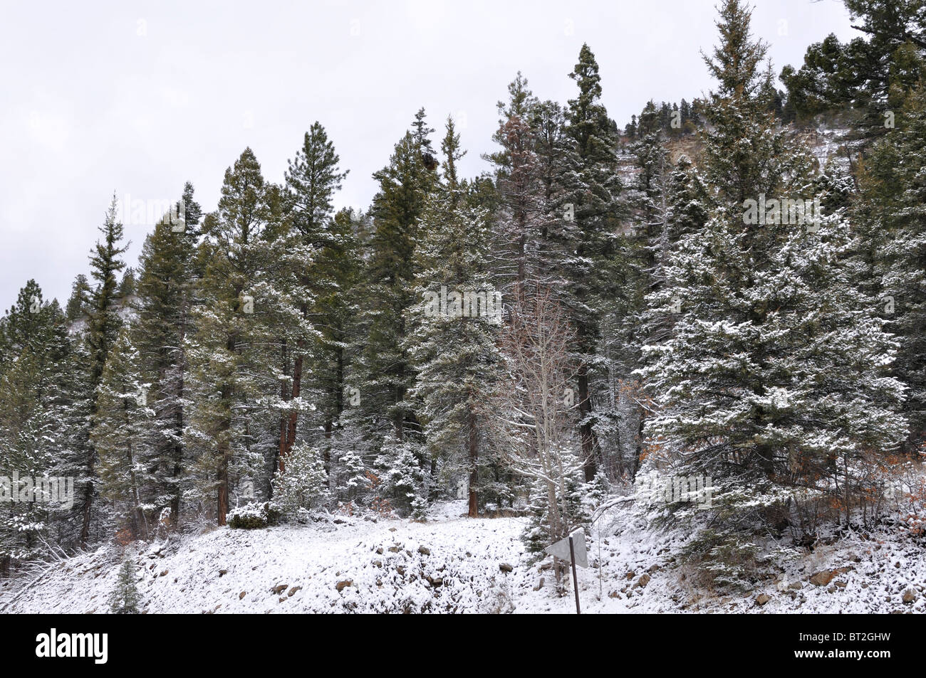 New Mexico in winter, USA Stock Photo - Alamy