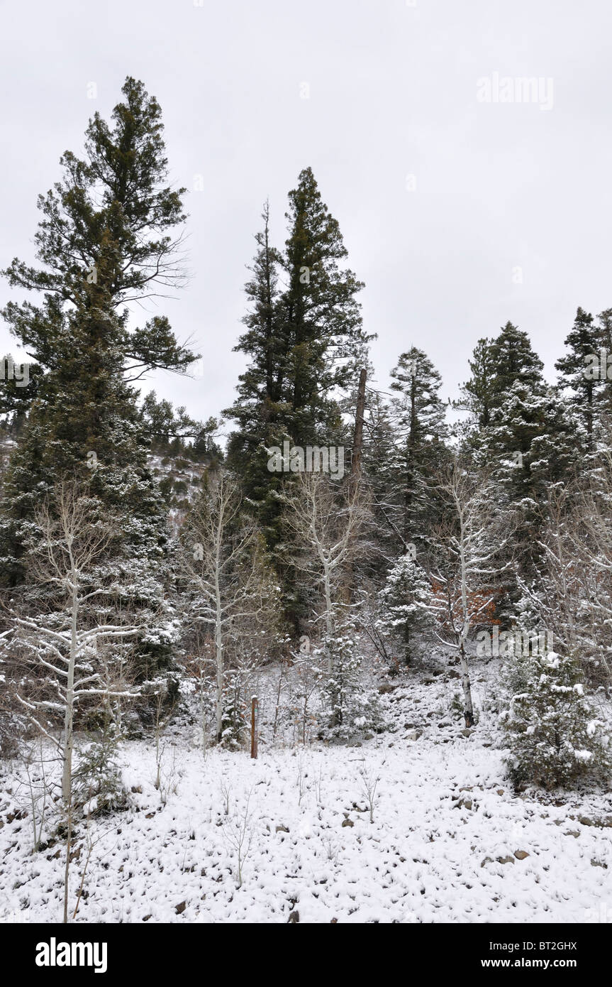 New Mexico in winter, USA Stock Photo - Alamy