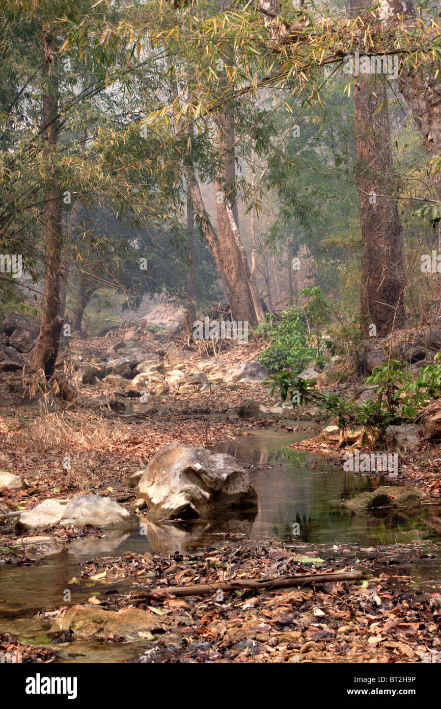 Slash and burn in southeast hi-res stock photography and images - Alamy