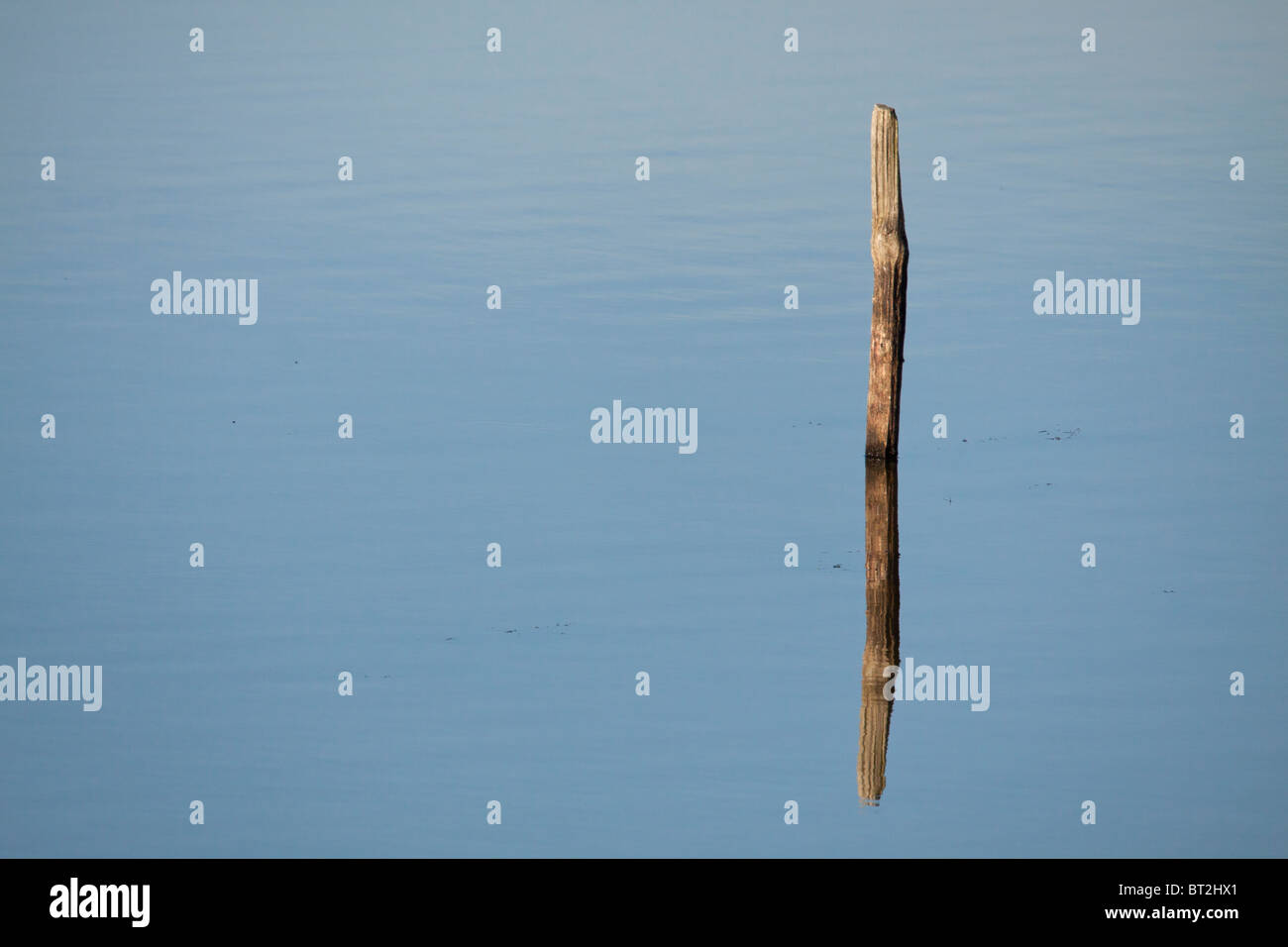 Pole water hi-res stock photography and images - Alamy