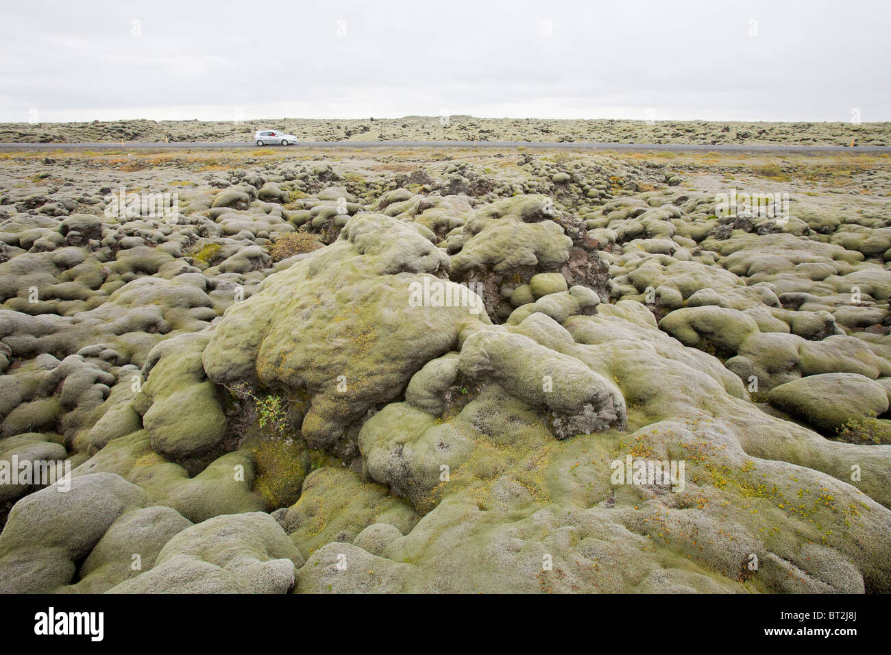 Lava and moss hi-res stock photography and images - Alamy