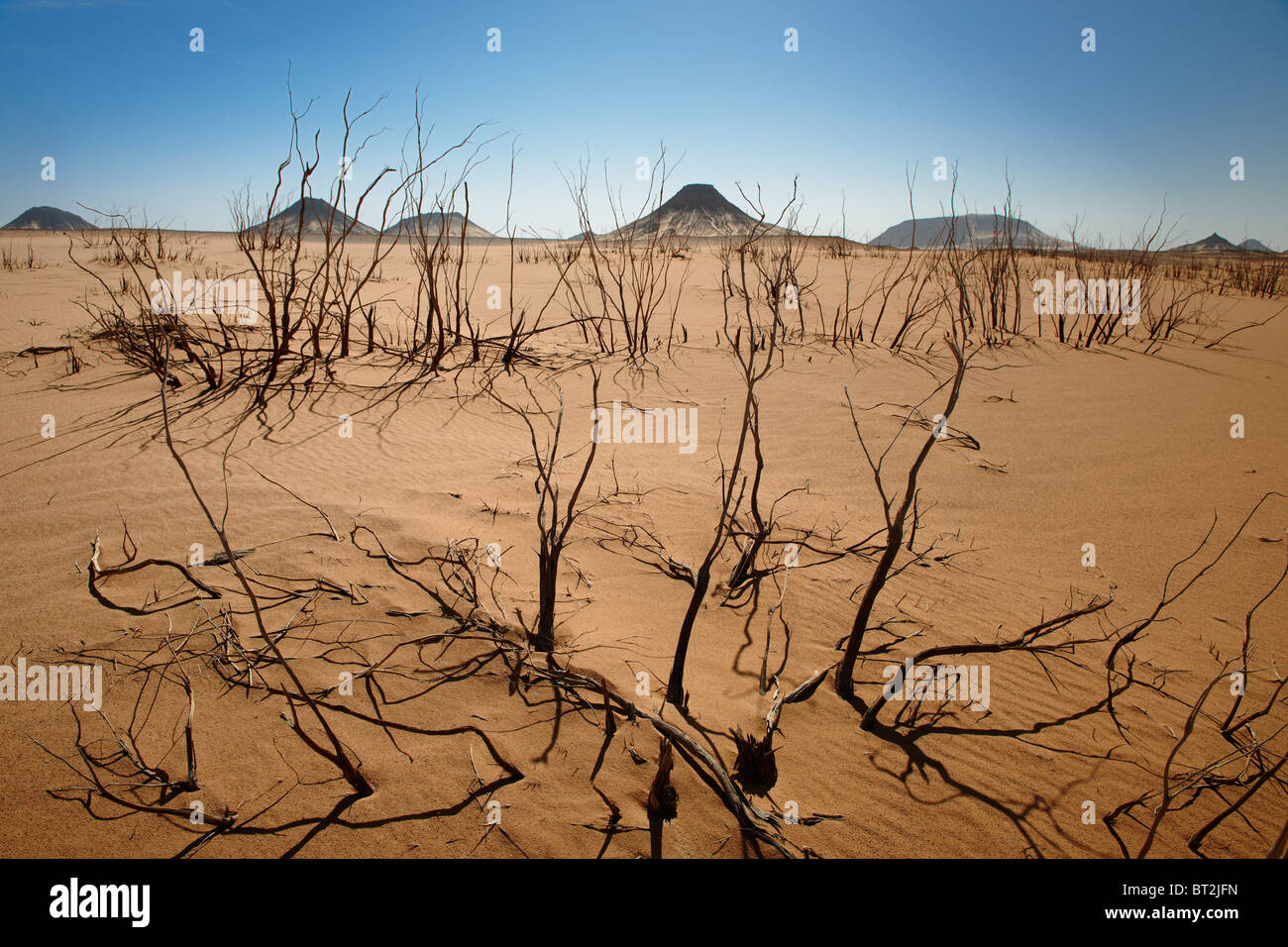 Desert egypt hi-res stock photography and images - Alamy
