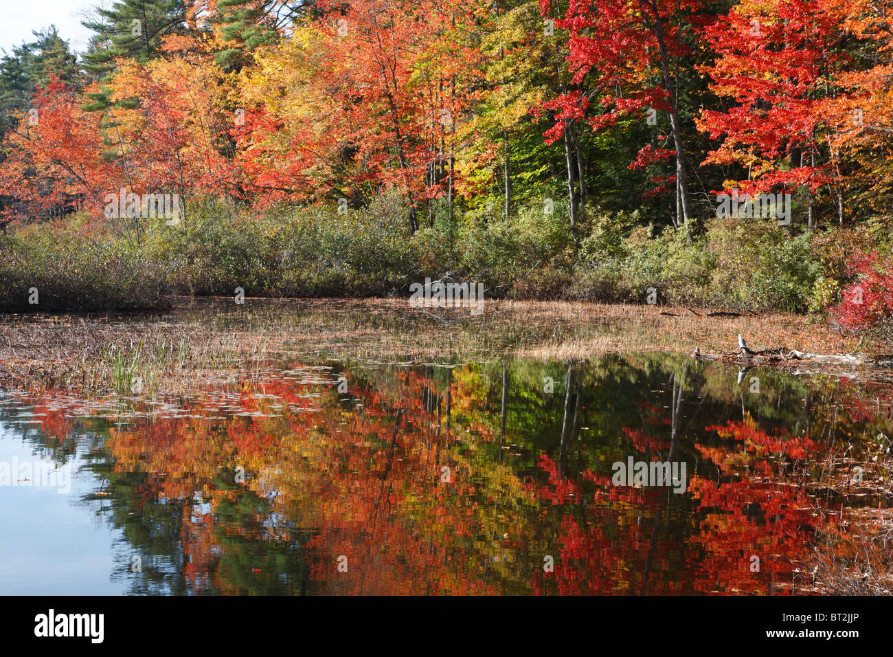 Mount chocorua lake tamworth hi-res stock photography and images - Alamy