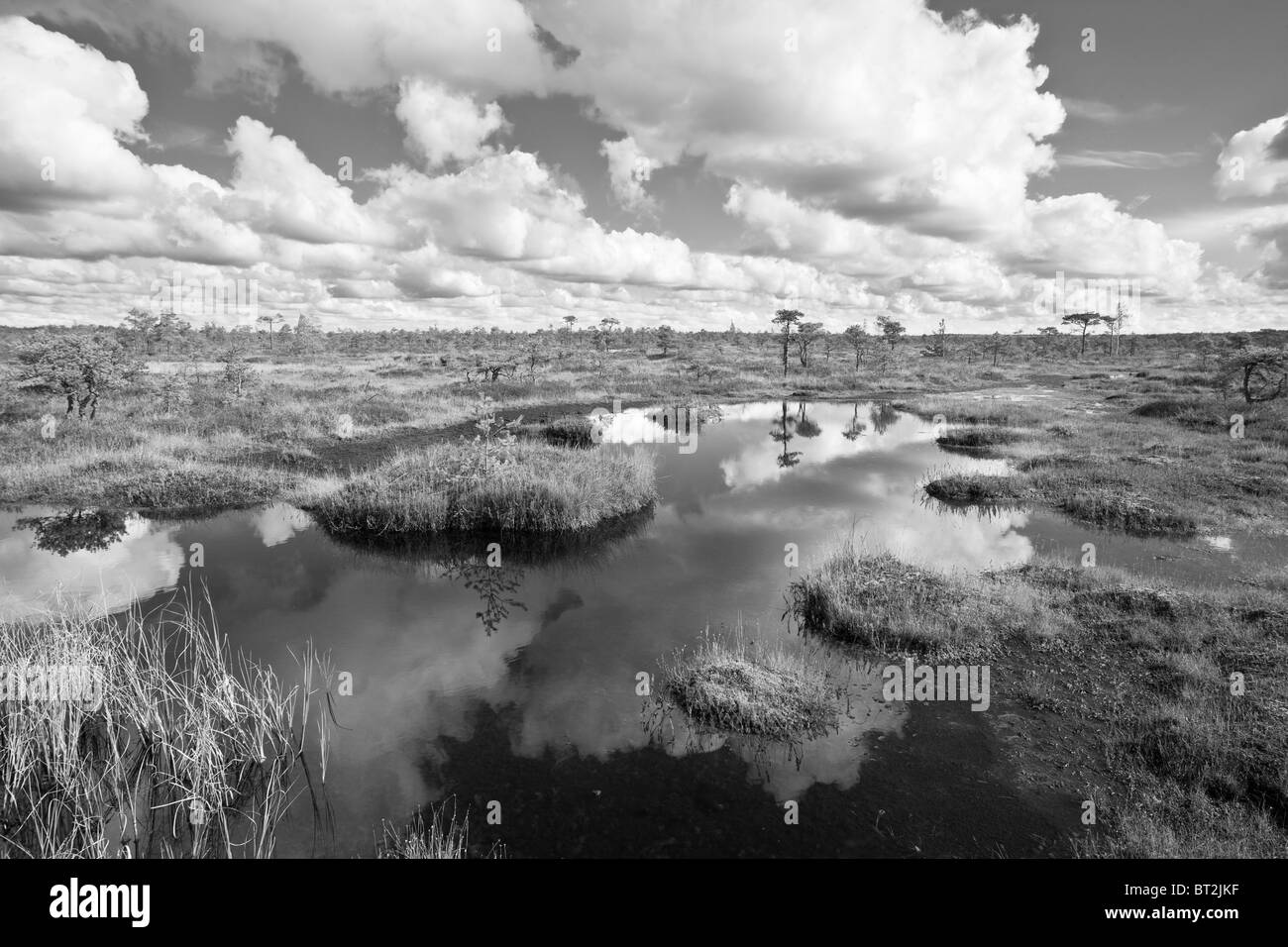 Open bog Black and White Stock Photos & Images - Alamy