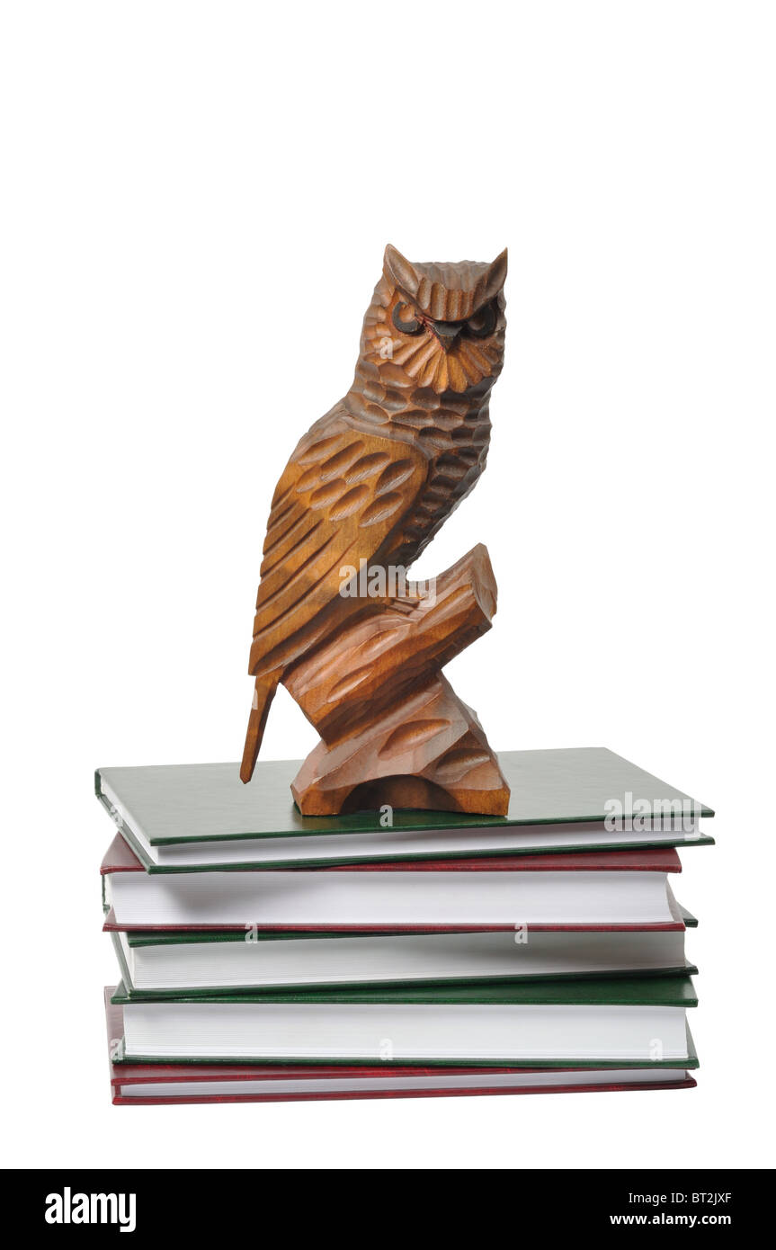 Owl wisdom books hi-res stock photography and images - Alamy