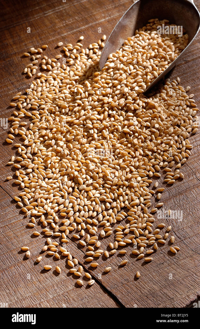 Grain with a scoop Stock Photo - Alamy