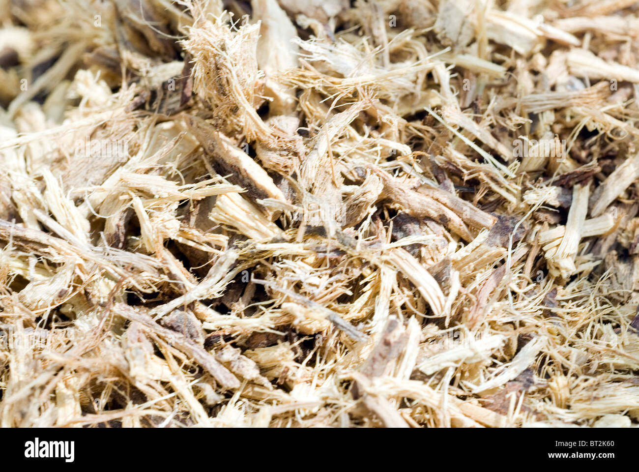 dried licorice in the sun Stock Photo - Alamy