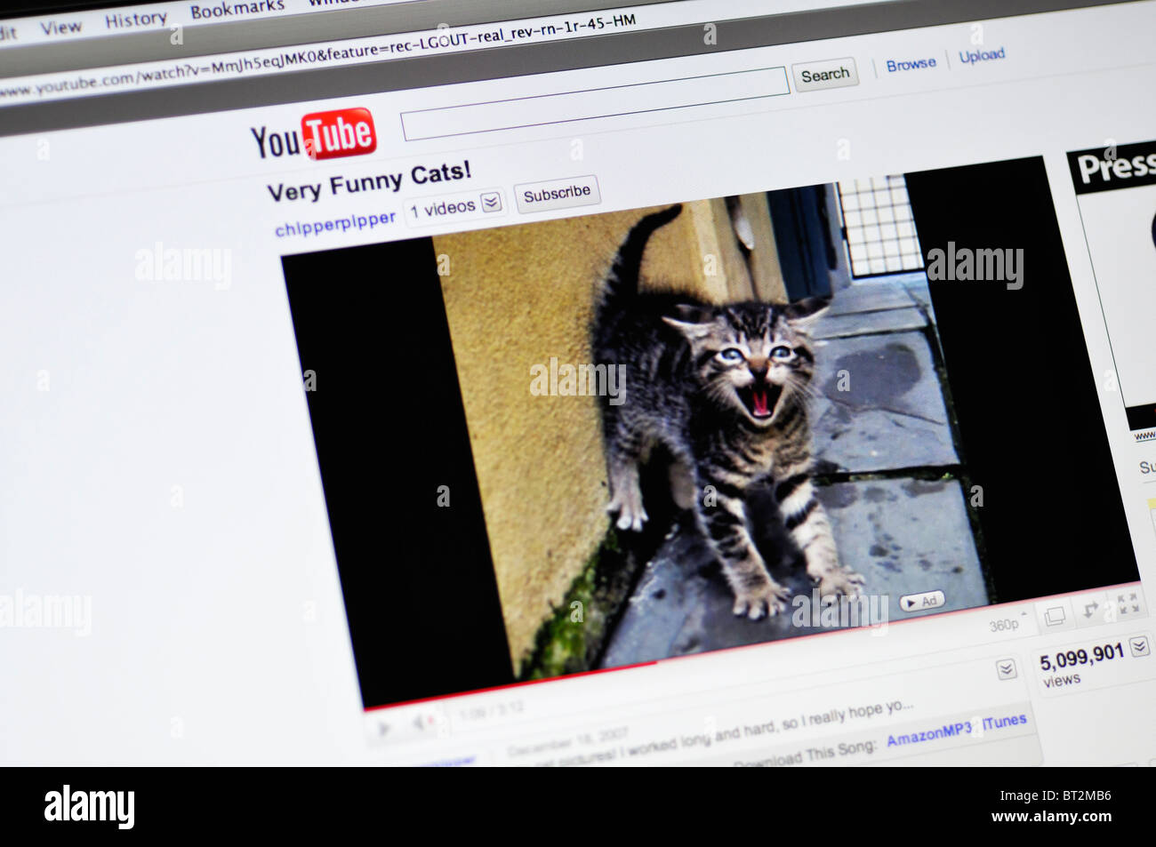 Youtube cat video hi-res stock photography and images - Alamy